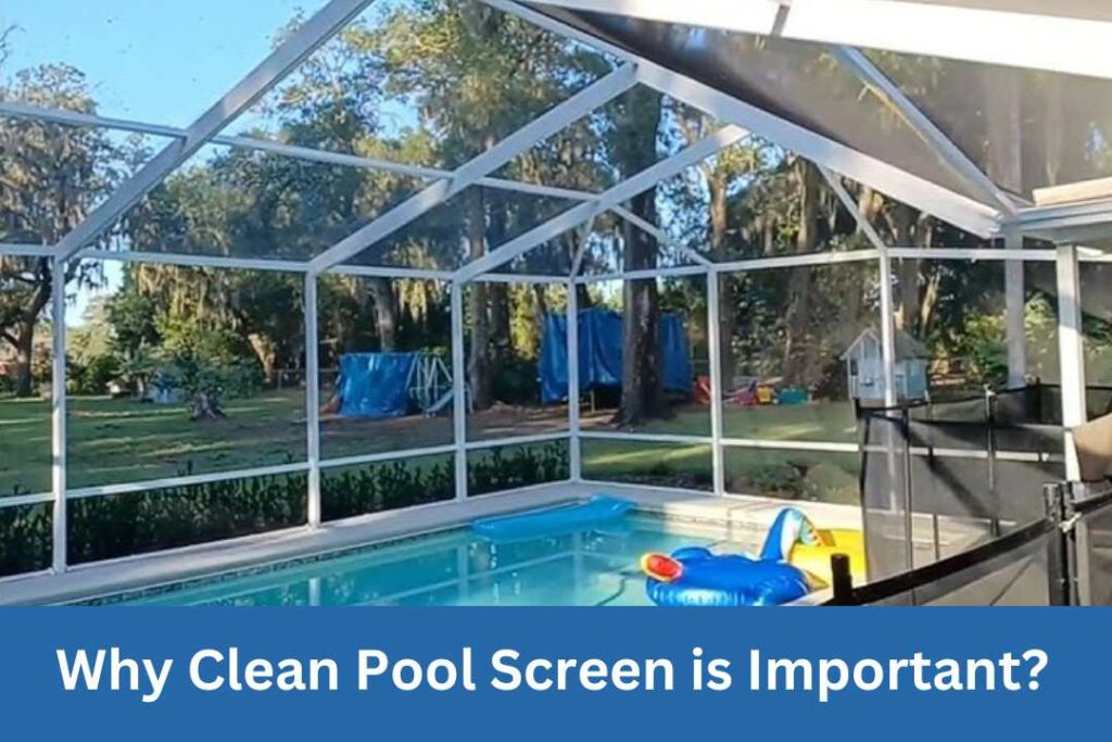 How to Clean Your Pool Screen (A Comprehensive Guide)