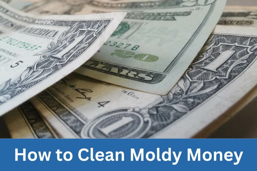 How to Clean Moldy Money: A Compressive Guide 2024